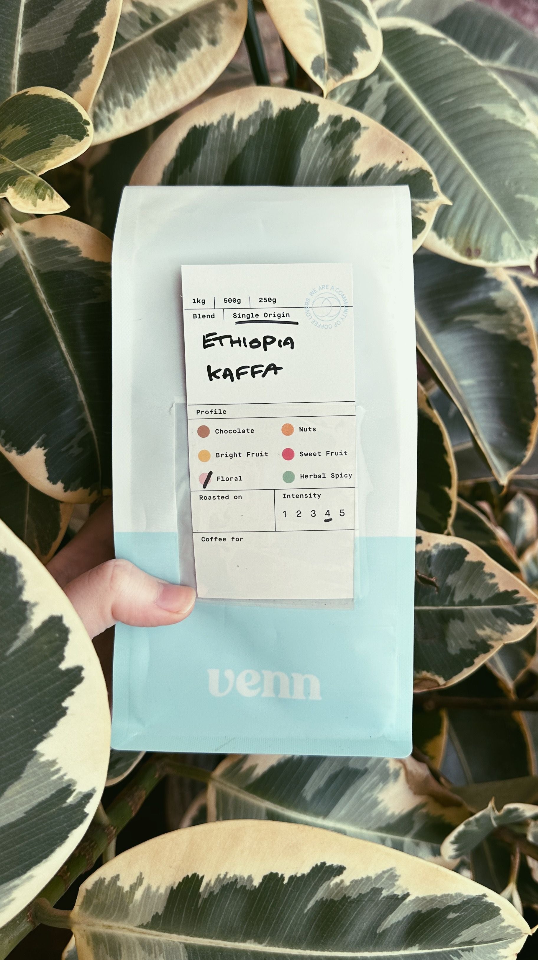 Ethiopia Kaffa – Venn