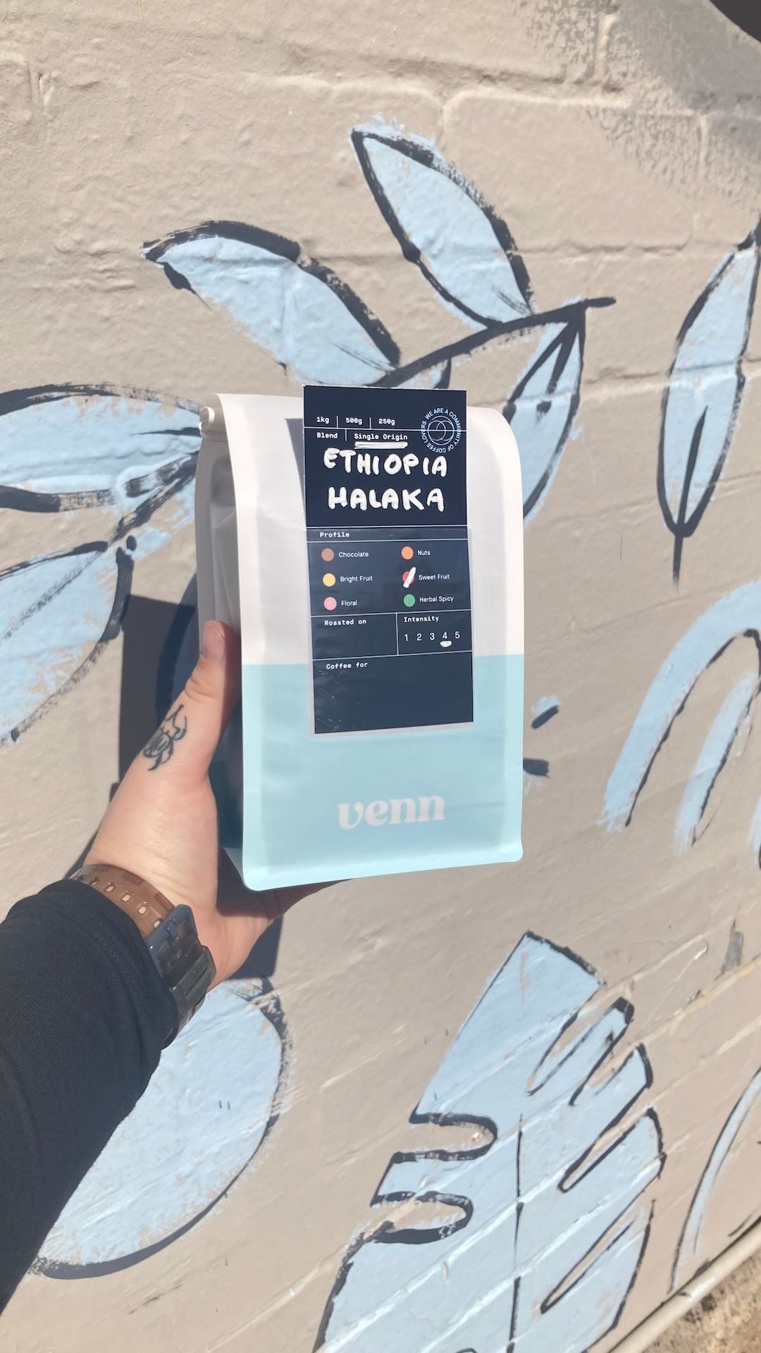 Ethiopia Halaka – Venn